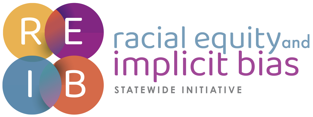 REIB Statewide Initiative